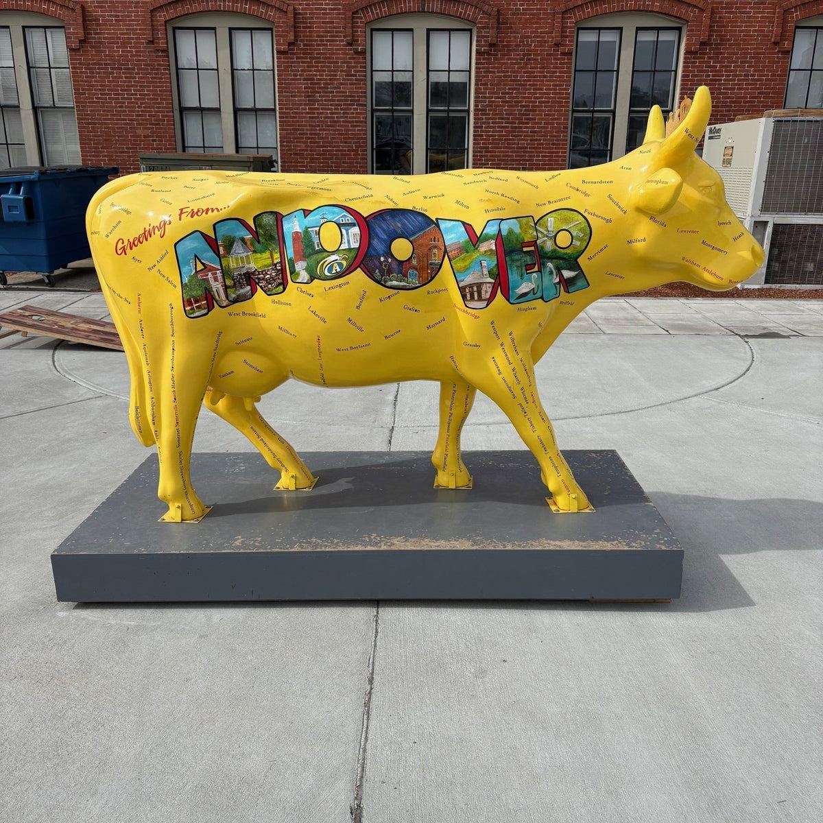 Andover's Yellow Cow – Andover Collection